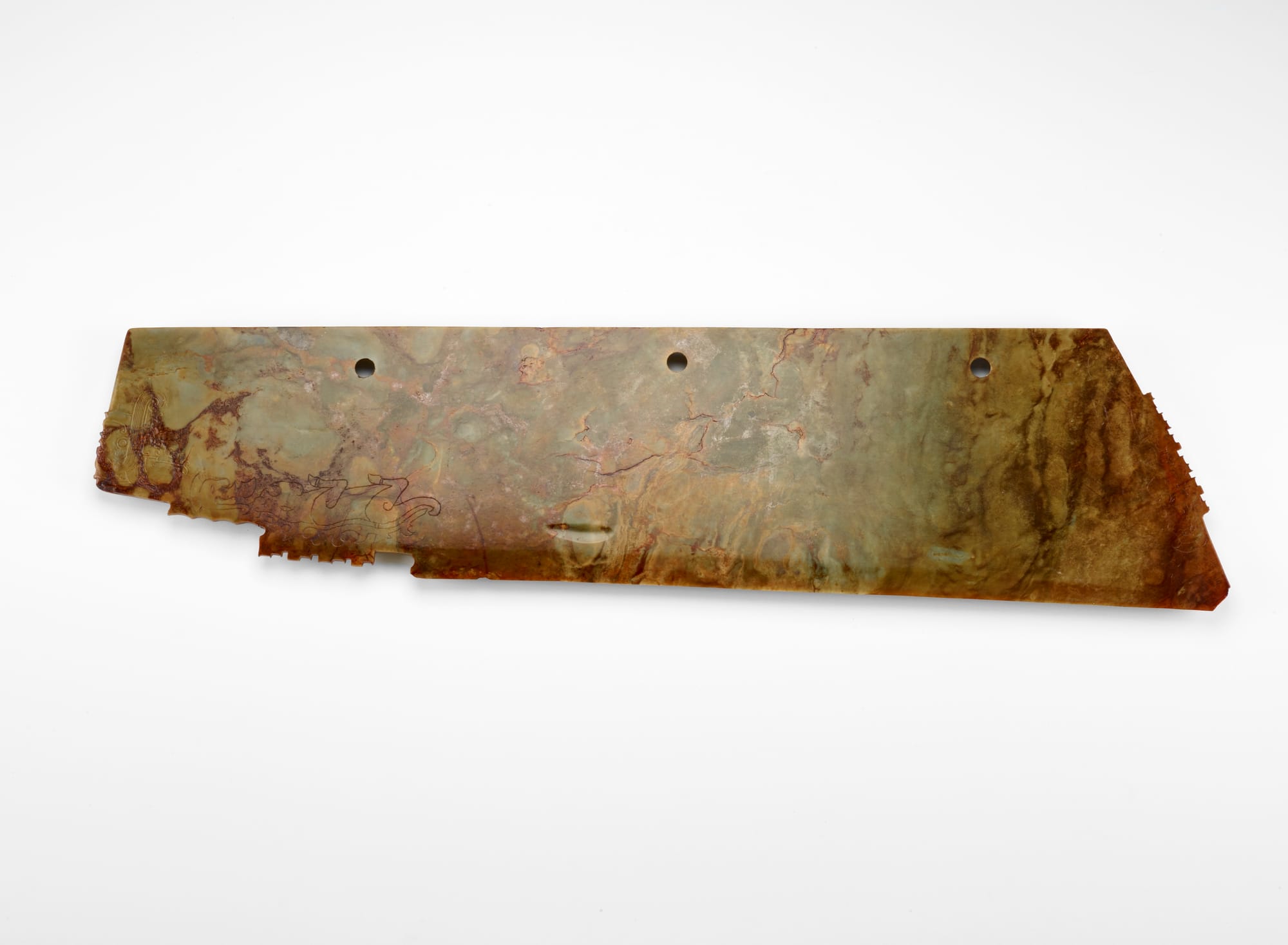 Ancient Regulatory Evolution Shapes Individual Language Abilities in ...